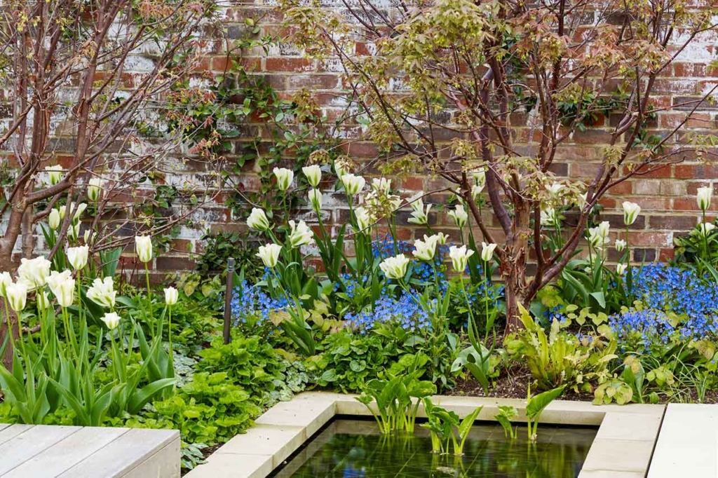 Creating a garden where you can thrive | Marian Boswall Landscape ...