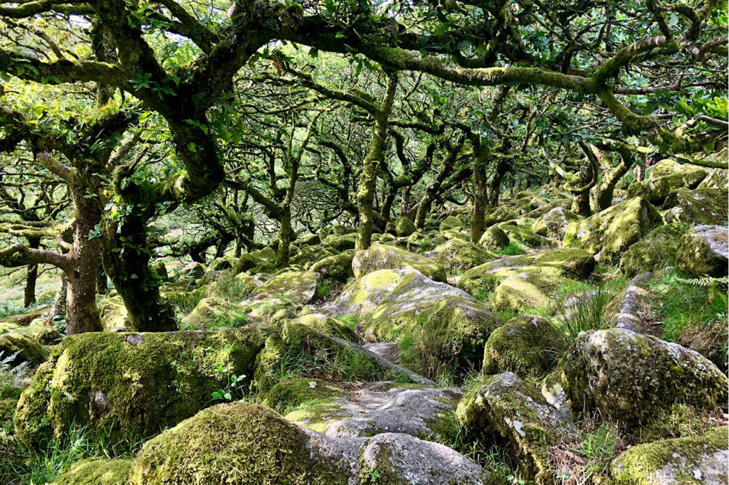 Creating a Sanctuary in your Garden | Marian Boswall Landscape Architects
