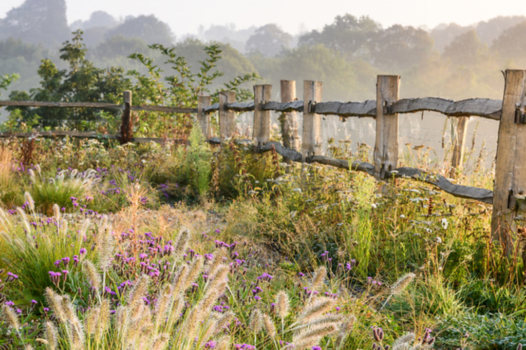 The Kindest Garden – Top 10 Insights for Regenerative Gardeners ...