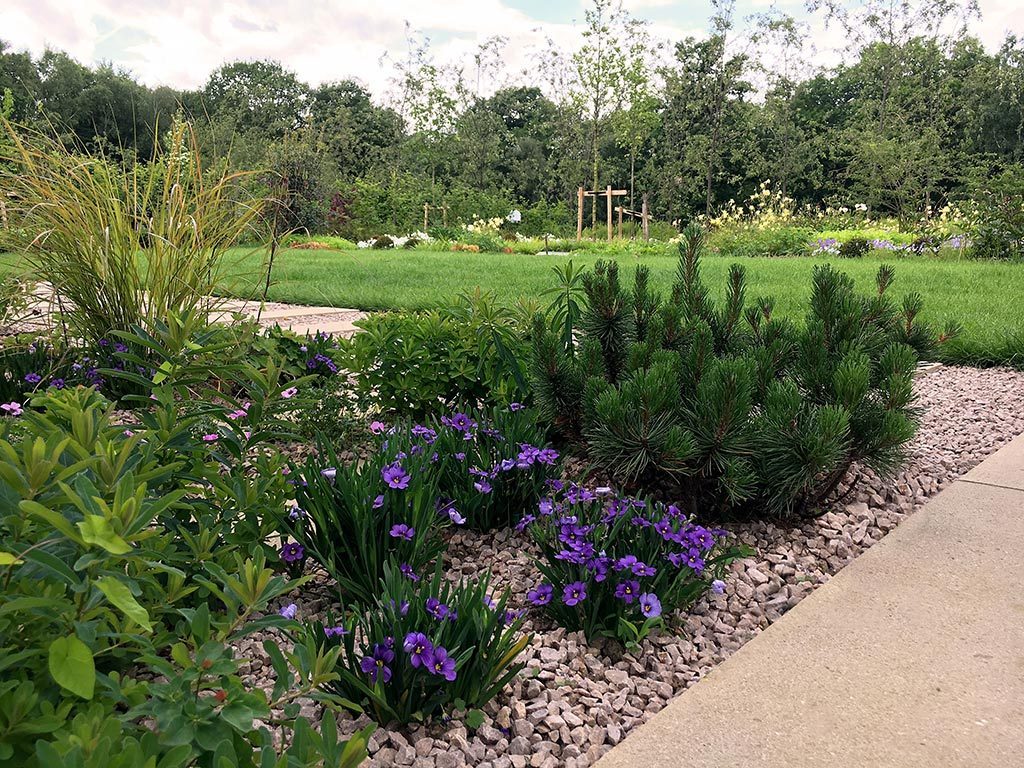 Contemporary Landscape Planting – Marian Boswall Landscape Architects