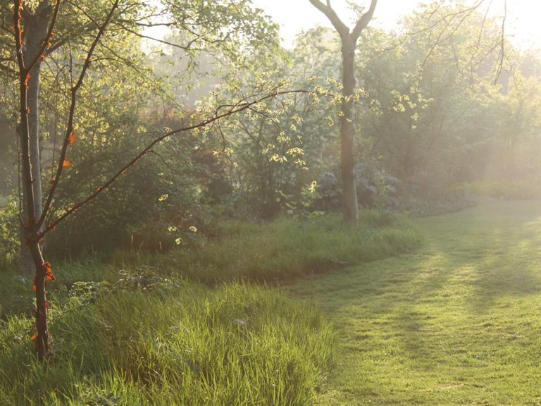 Kentish Farm House | Marian Boswall Landscape Architects